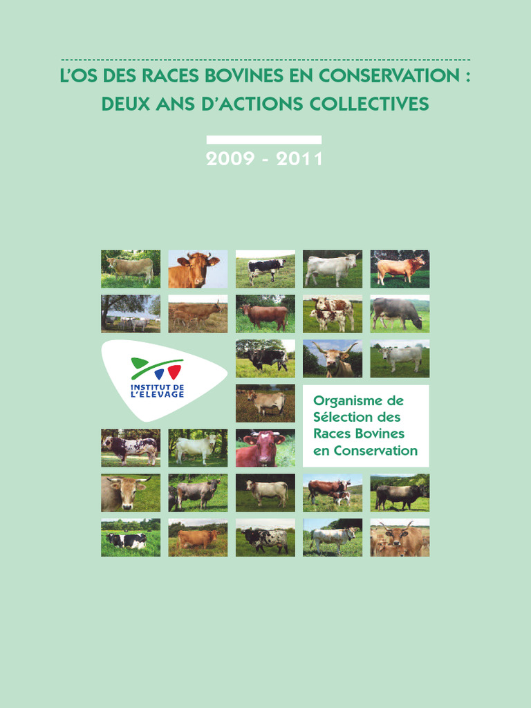 Actions pour la Conservation des Races Bovines | PDF | Bovinae | Bétail