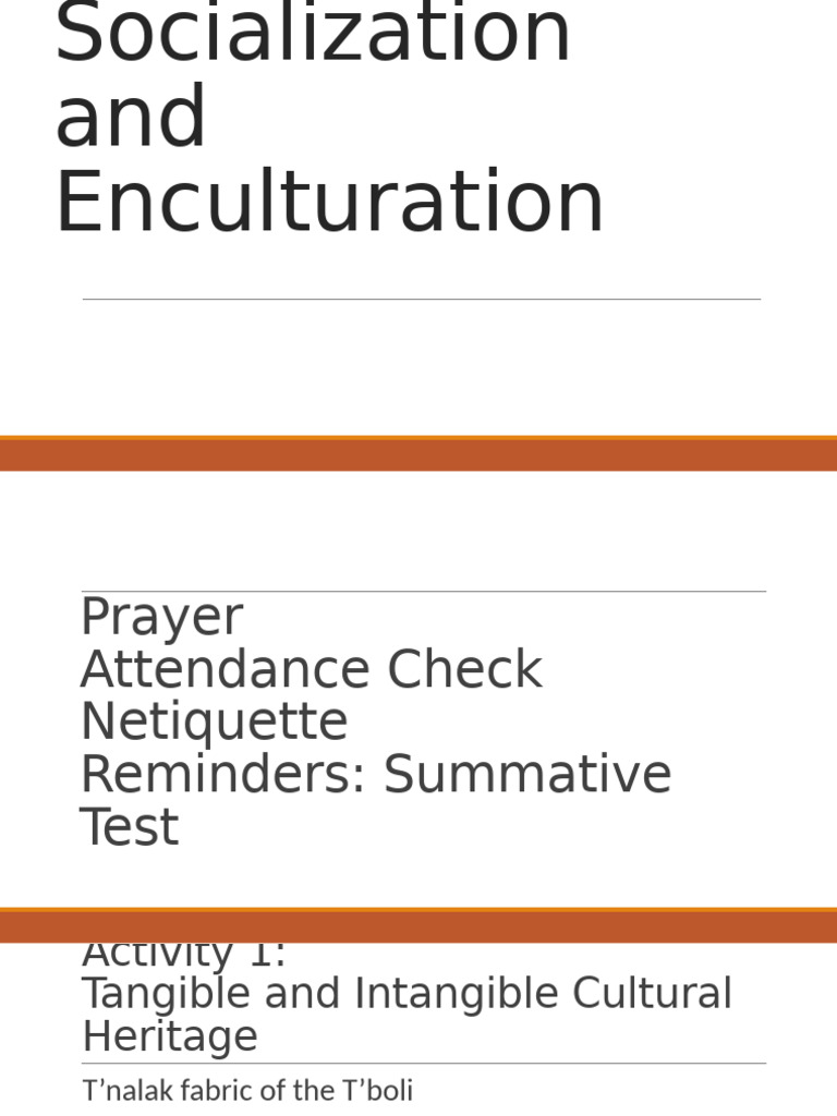 Socialization and Enculturation | PDF