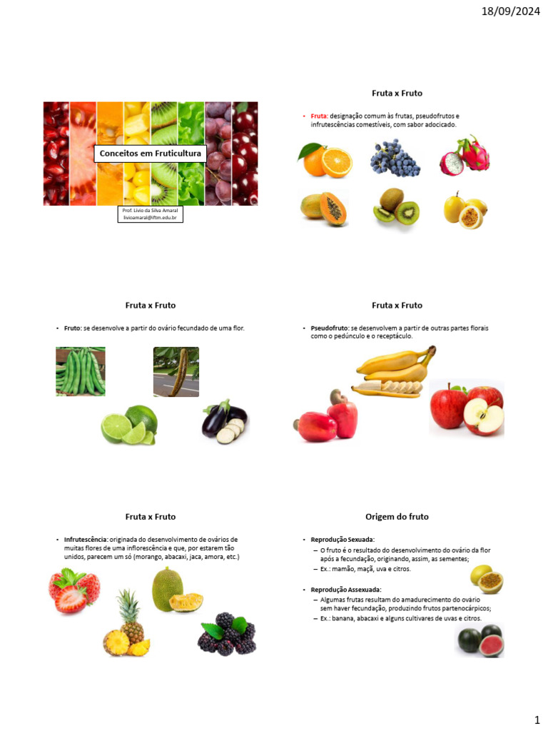 Aula 02. Conceitos em Fruticultura | PDF | Fruta | Plantas