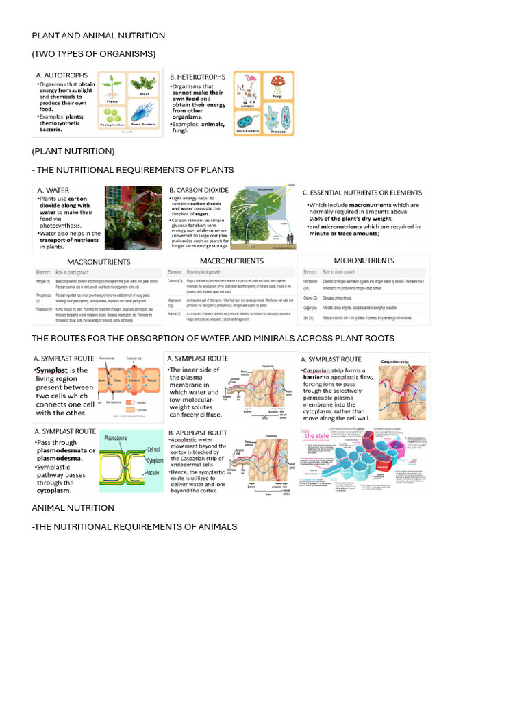 Plant and Animal Nutrition | PDF