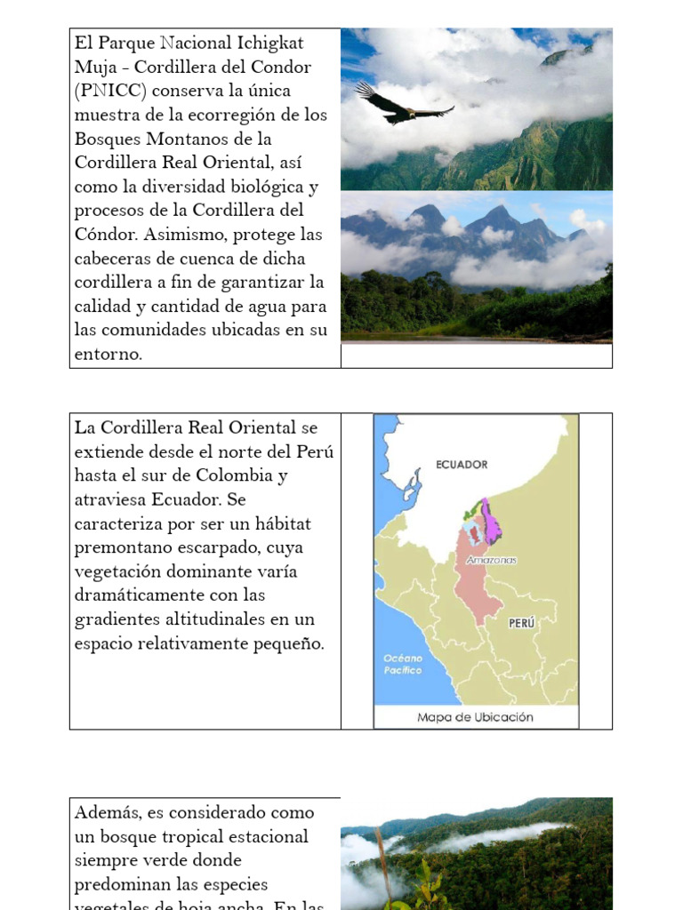 Parque Nacional Cordillera Del Condor | PDF