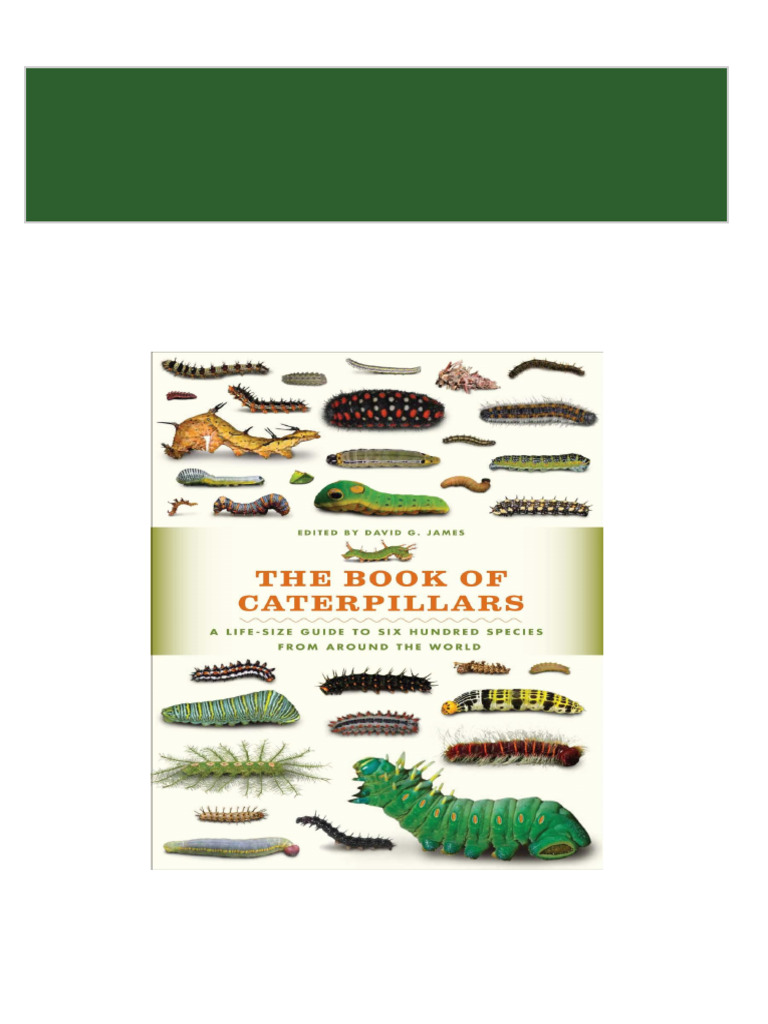 Book of Caterpillars A Life Size Guide To Six Hundred Species From ...