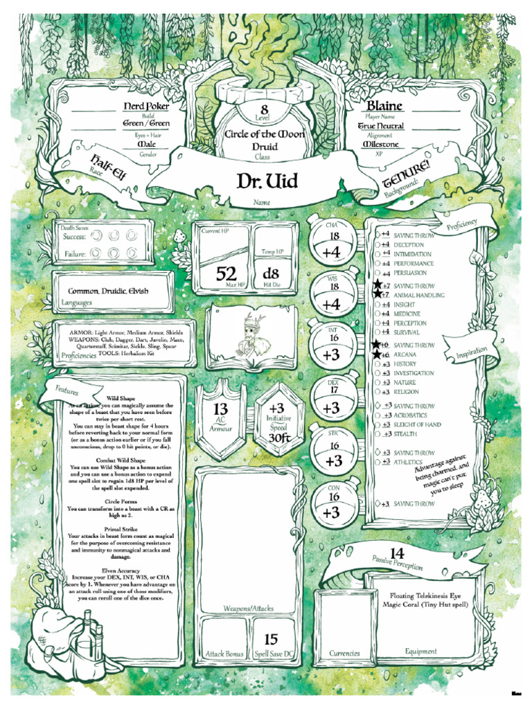 Druid Sheet 8 | PDF