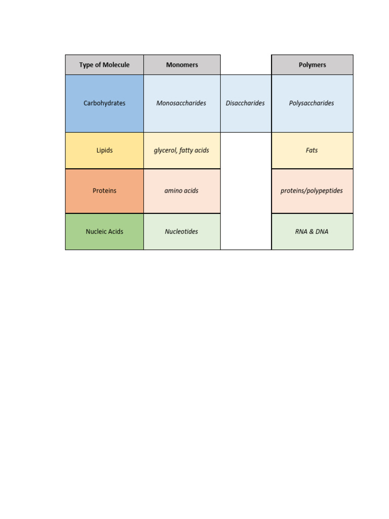 Organic Molecules Worksheet | PDF