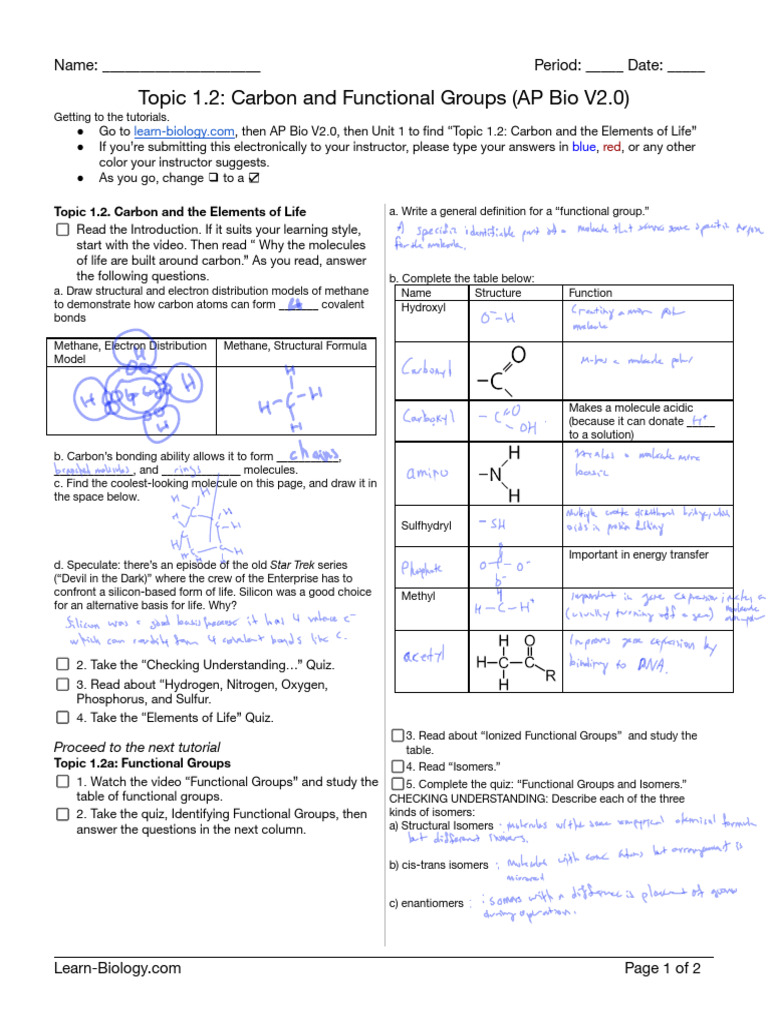 1.1b - Carbon and Functional Groups Student Learning Guide (AP Bio V2.0) | PDF | Functional ...