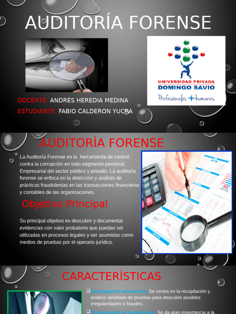 Auditoría Forense | PDF | Auditoría