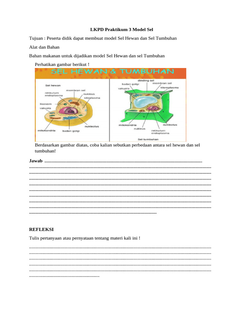 LKPD Praktikum Model Sel | PDF