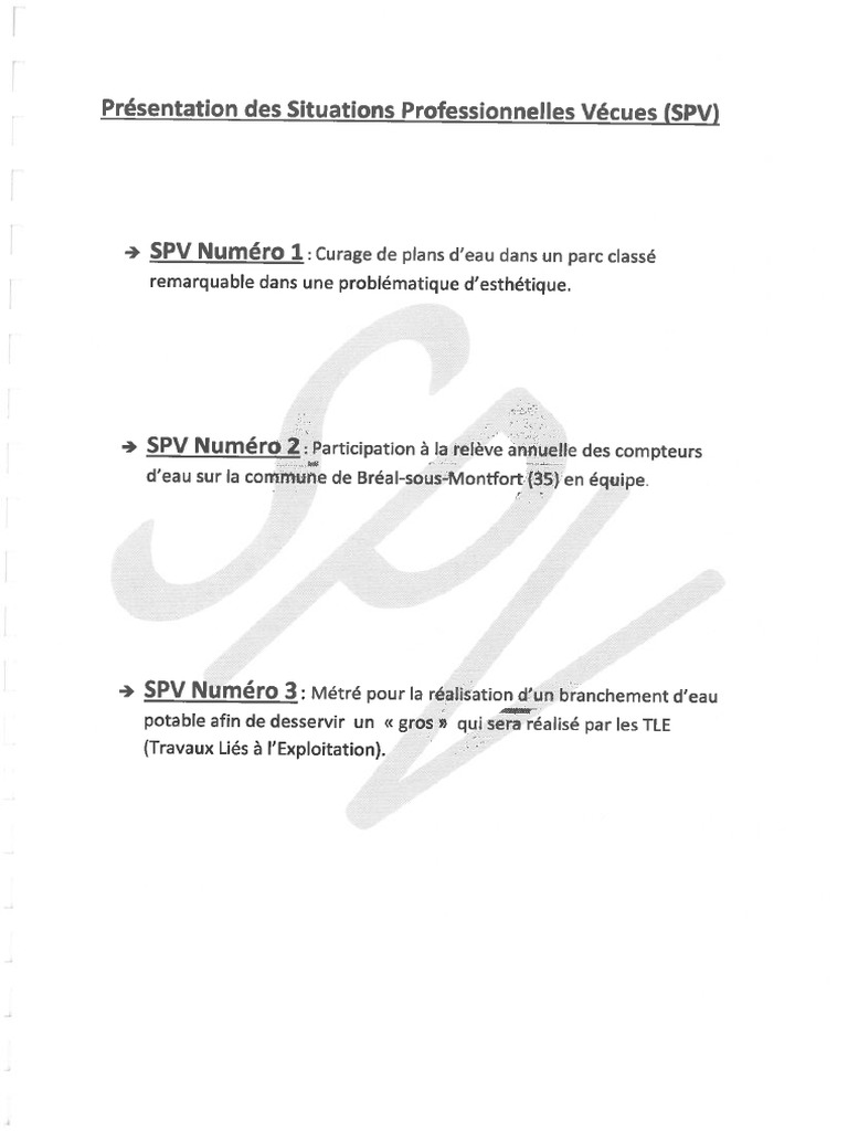 SPV_AW (2) | PDF