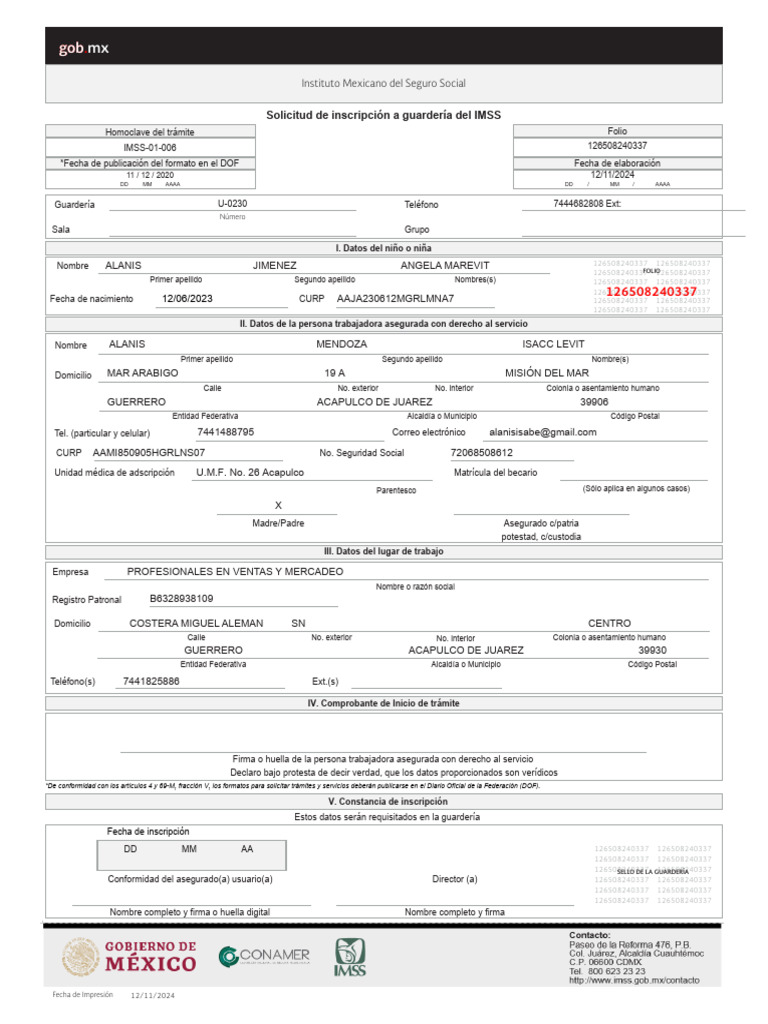 Solicitud 12112024 | PDF | Cuidado de los niños | Gobierno
