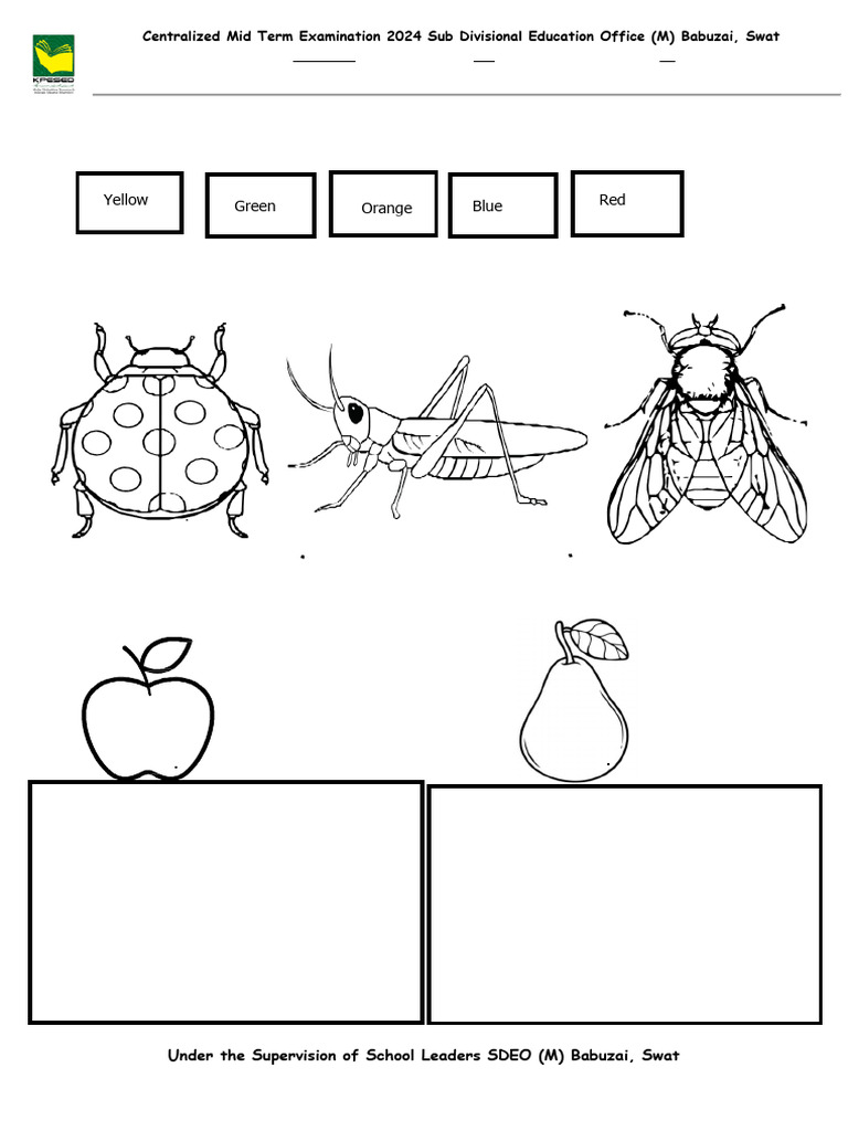 5th Drawing Mid 2024 | PDF