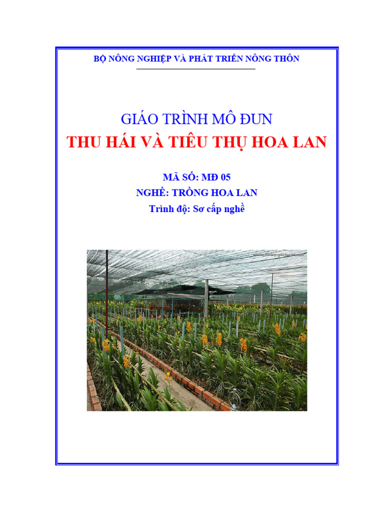 MD05-Thu Hái Và Tiêu TH Hoa Lan | PDF