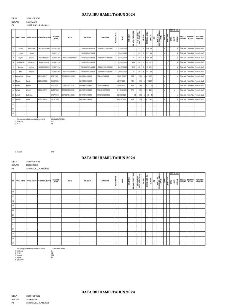 Format Untuk Bides Data Bumil 2024 | PDF