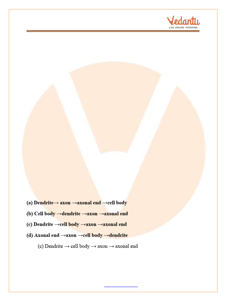 NCERT Exemplar For Class 10 Science Chapter 7 - Control and Coordination (Book Solutions) | PDF ...