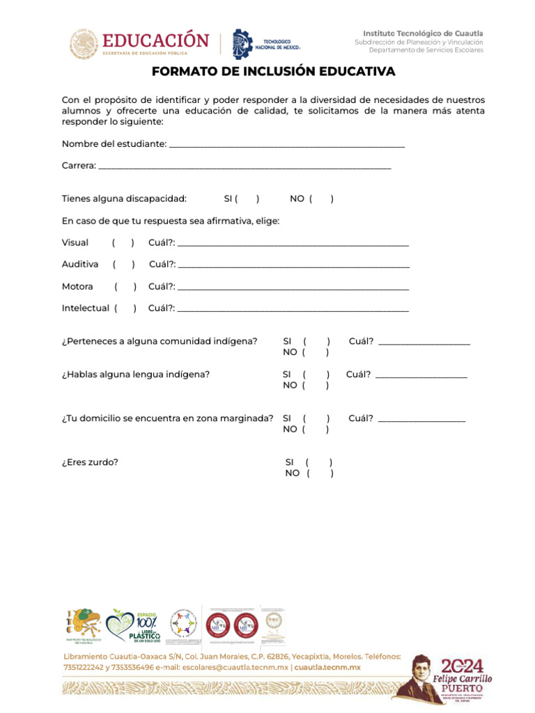 Formato de Inclusion Educativa | PDF