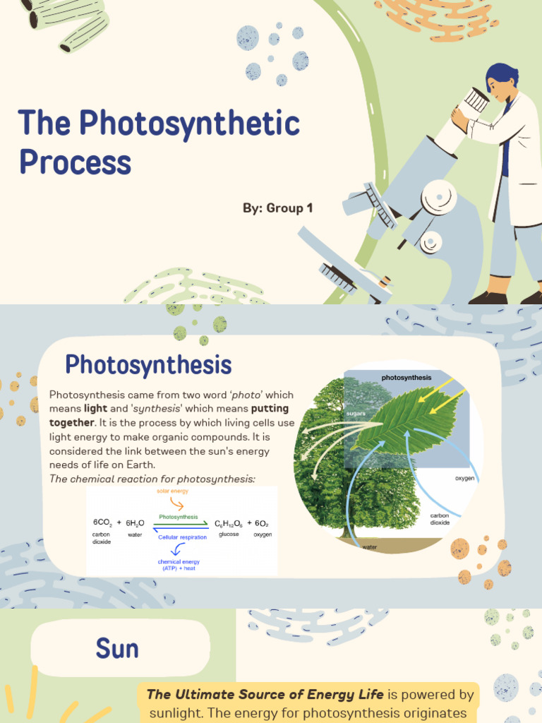 Photosynthesis - PPT - Group 1 | PDF | Photosynthesis | Chloroplast