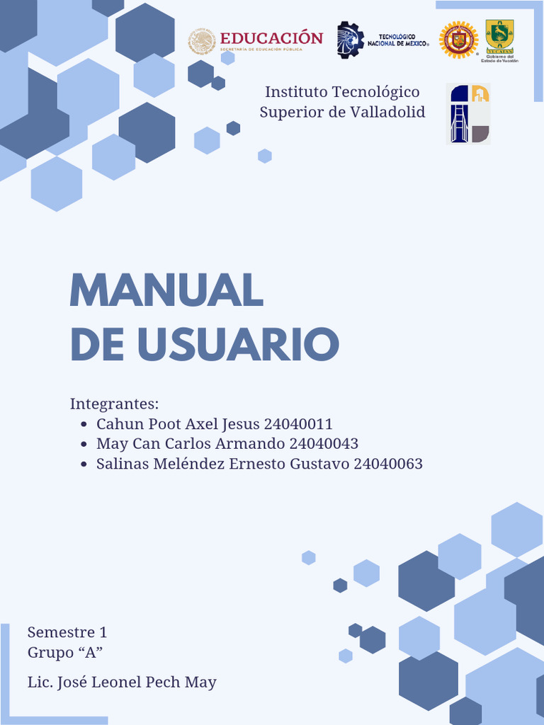 Manual Software | PDF | Algoritmos | Programación de computadoras