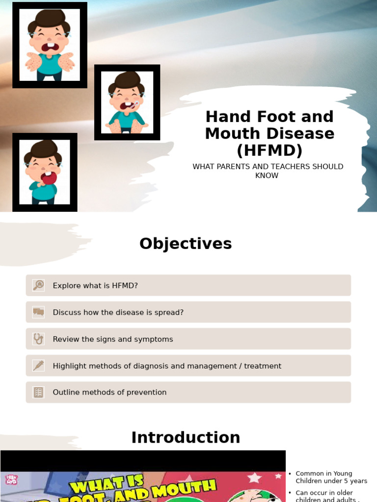 Hand Foot & Mout Disease Presentation | PDF | Public Health | Animal ...