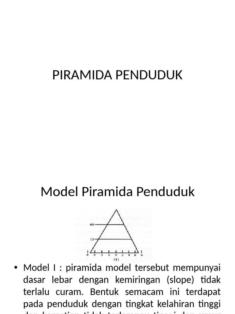 Pertemuan 4 (Piramida Penduduk) | PDF