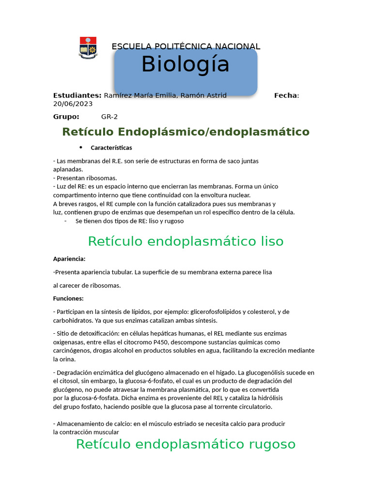 Informe - Retículo Endoplasmático - Ramón & Ramírez | PDF | Retículo endoplásmico | Biología ...