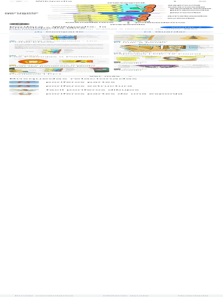 Searchq Circulación+en+poríferos&sca Esv 0fe395fae313f6fd&sca Upv 1&udm ...