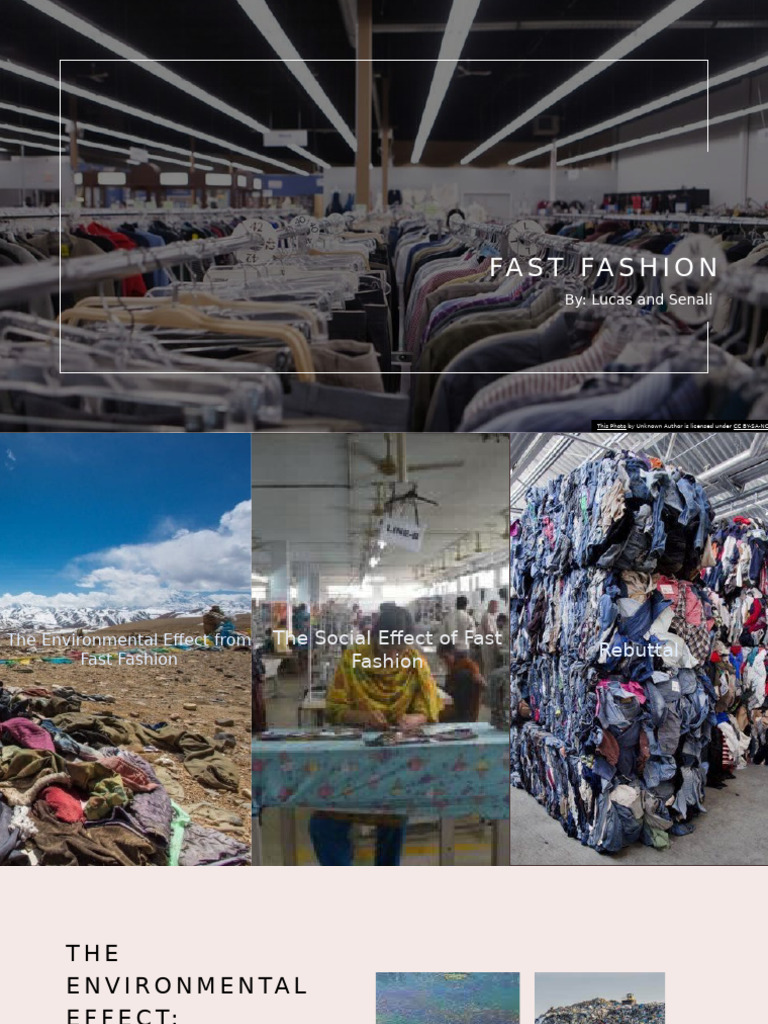 Fast Fashion Presentation | PDF
