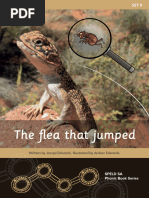 41b - Slides - UFLIFoundations Short Vowel Review | PDF