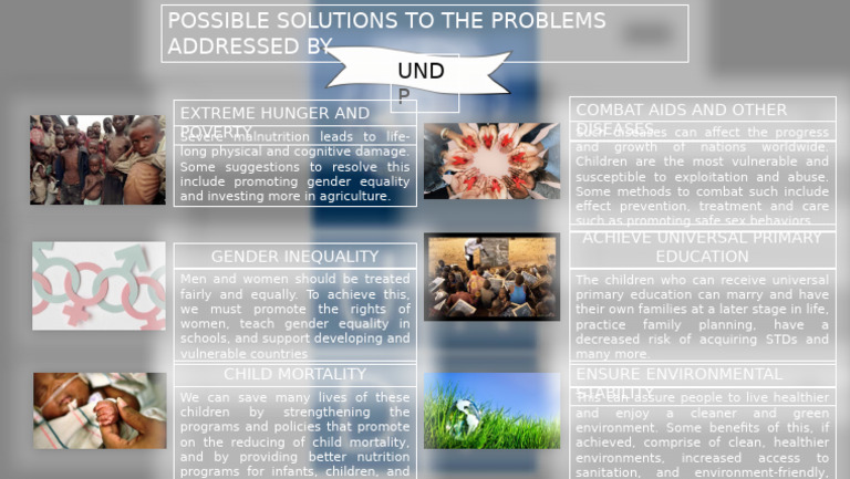 Solutions To Problems of UNDP | PDF