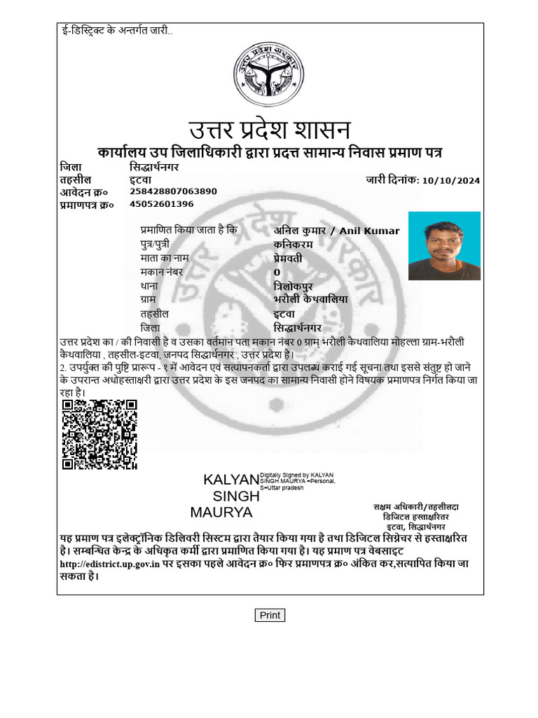 Anil Kumar Domice | PDF