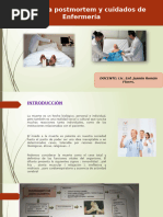 Guía de Cuidados Post-Mortem | PDF | Enfermería