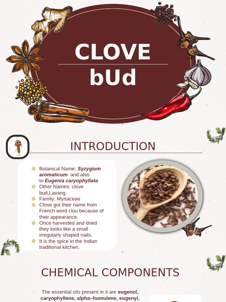 CLOVE | PDF | Clove