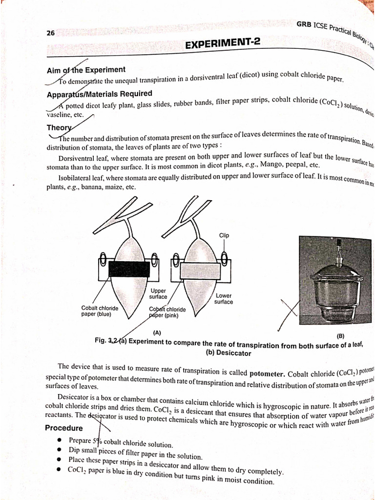 bio practical markings | PDF