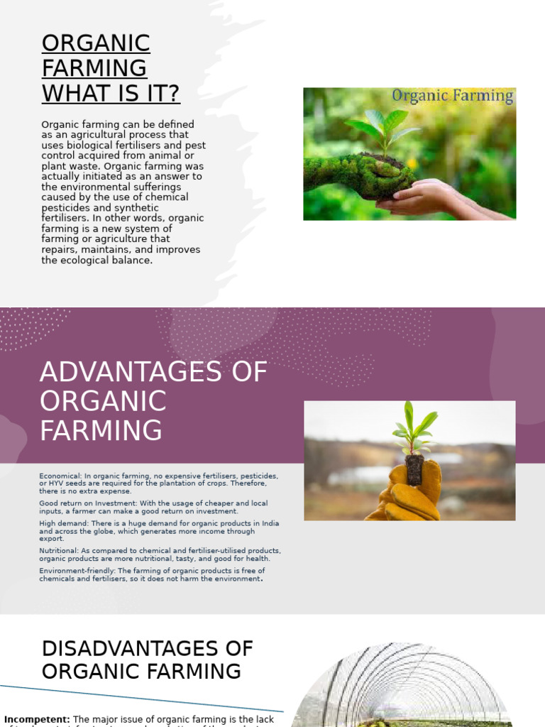 bio project | PDF | Manure | Organic Farming