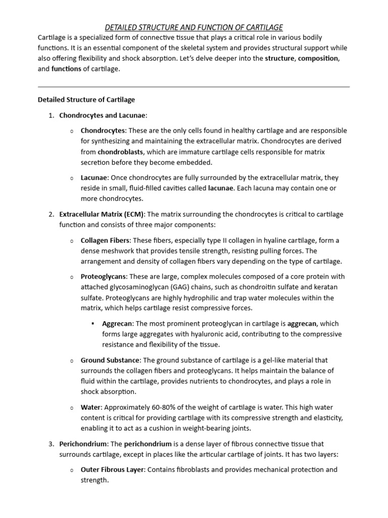 Detailed Structure and Function of Cartilage | PDF | Extracellular ...