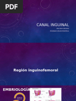Anatomía de la Región Inguinal | PDF | Anatomía | Morfología (biología)