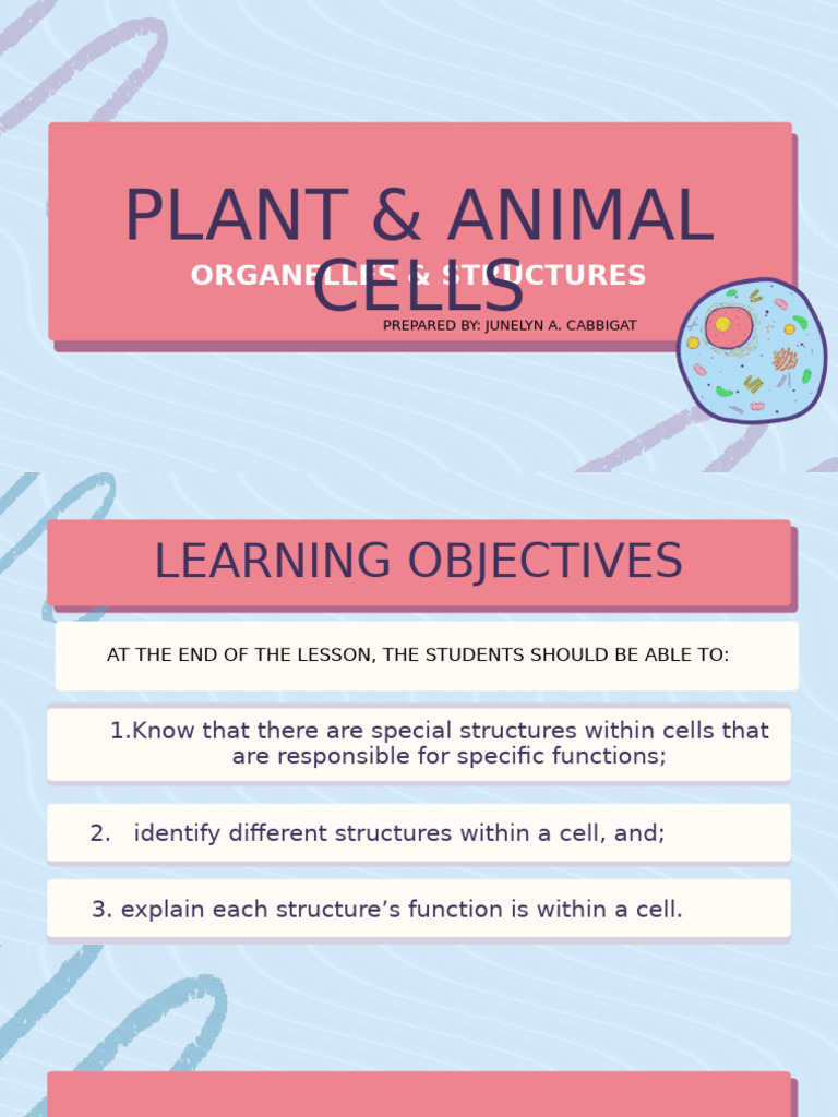 Plant and Animal Cell PPT | PDF | Endoplasmic Reticulum | Cell (Biology)