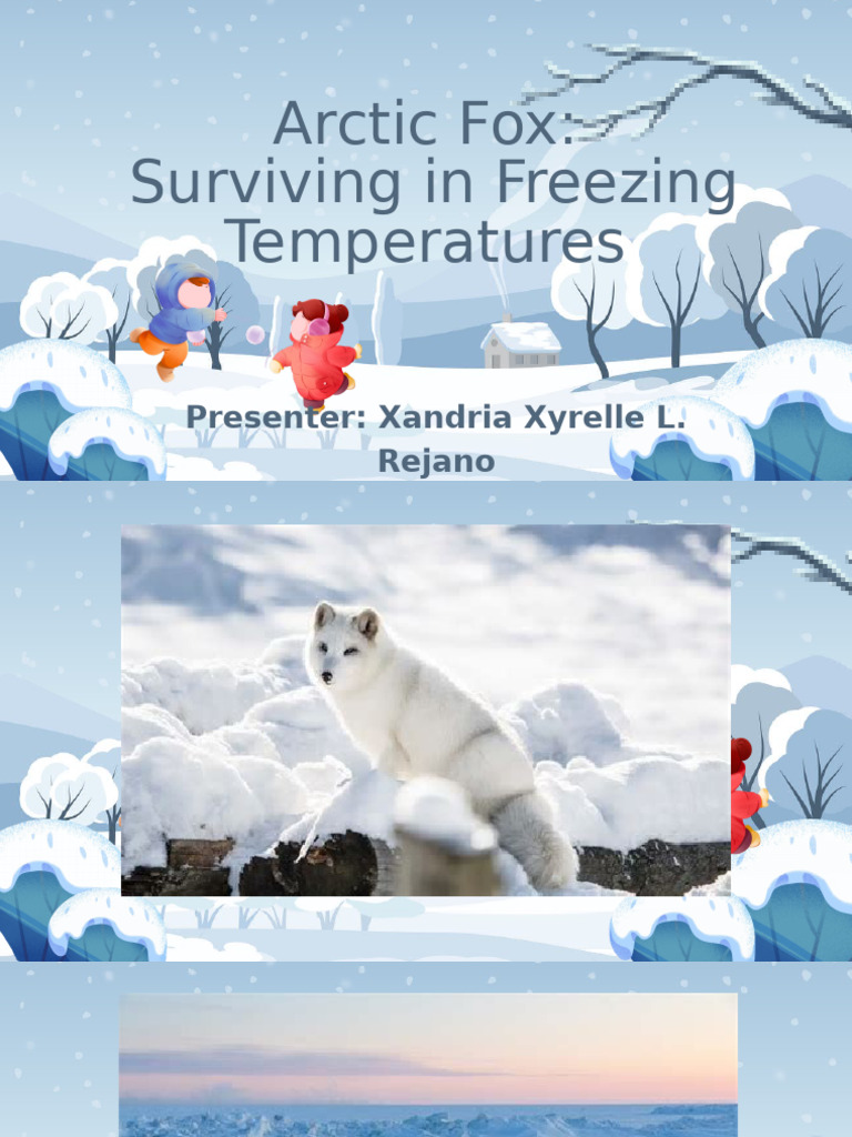 Arctic Fox Surviving in Freezing Temperatures Rejano | PDF