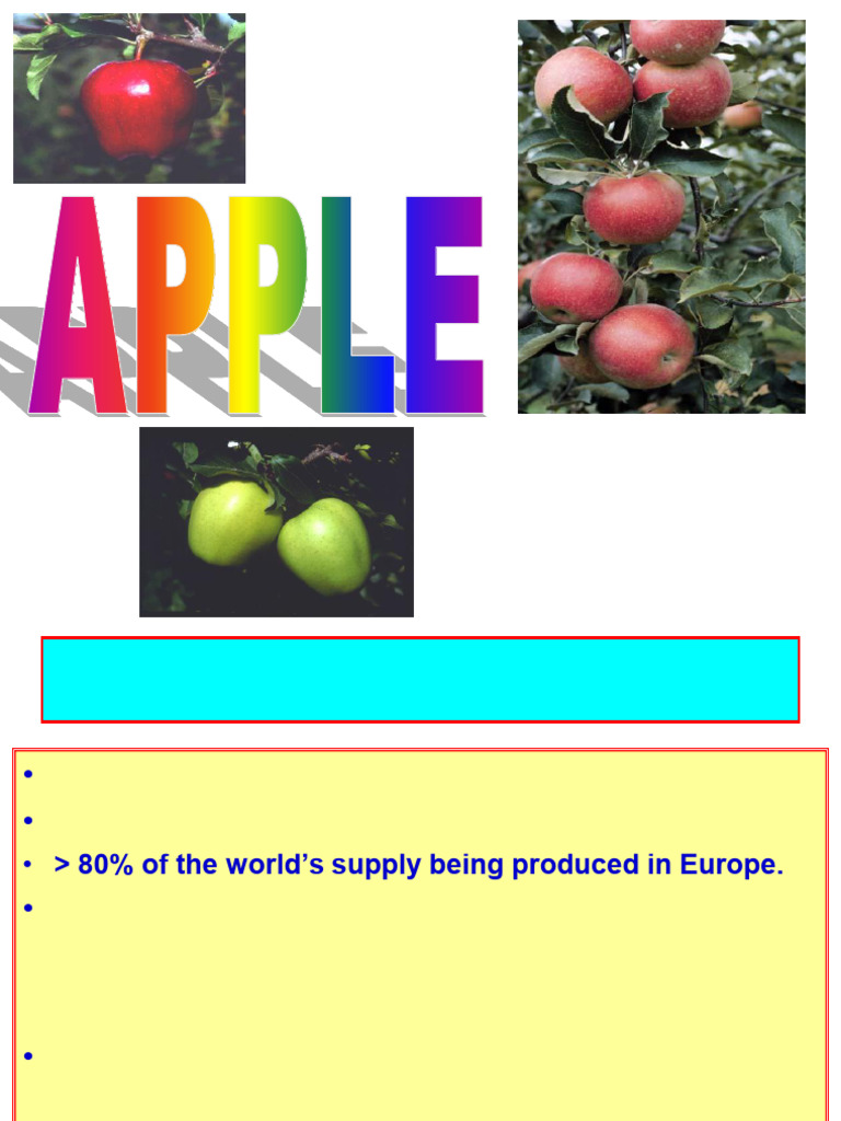 Apple | PDF | Apple | Horticulture