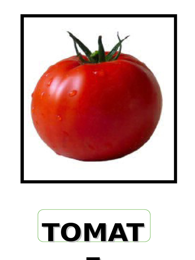 TOMATE | PDF