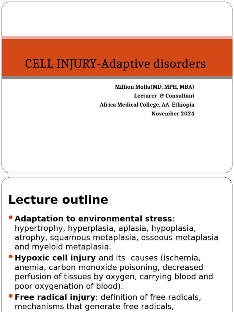 4 Adaptive Disorders Hypertrophy, Hyperplasia, Atrophy, Metroplasia ...