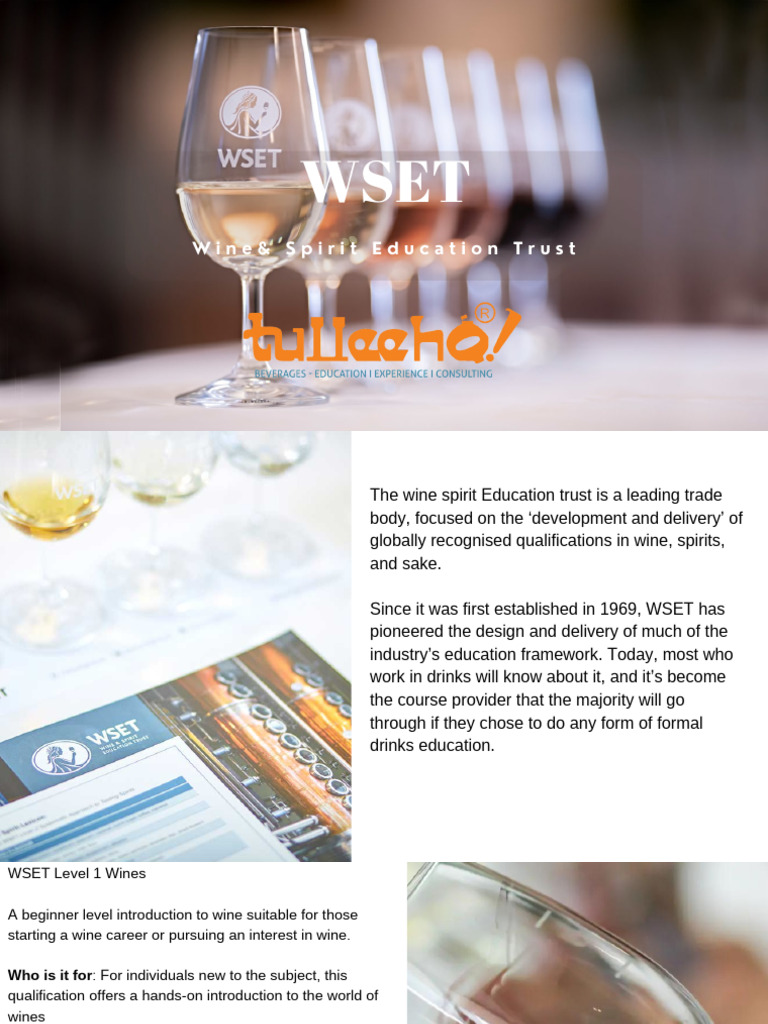 WSET Wines Information | PDF | Wine | Winemaking