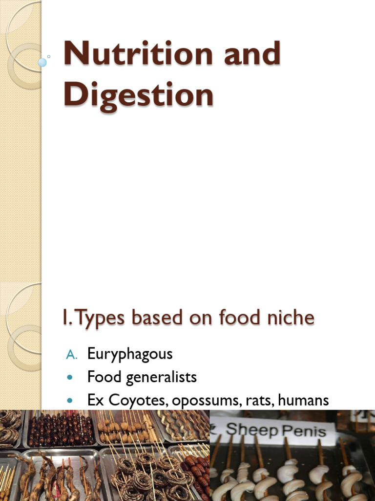 Zoology Nutrition and Digestion | PDF | Foods