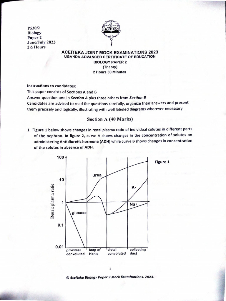 Aceiteka Uace Bio p2 2023 | PDF