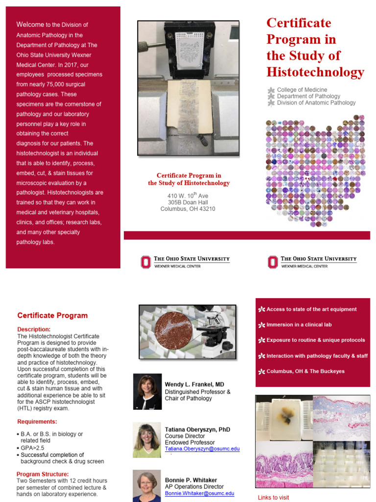Histotechnologist Program Brochure | PDF | Pathology | Histology