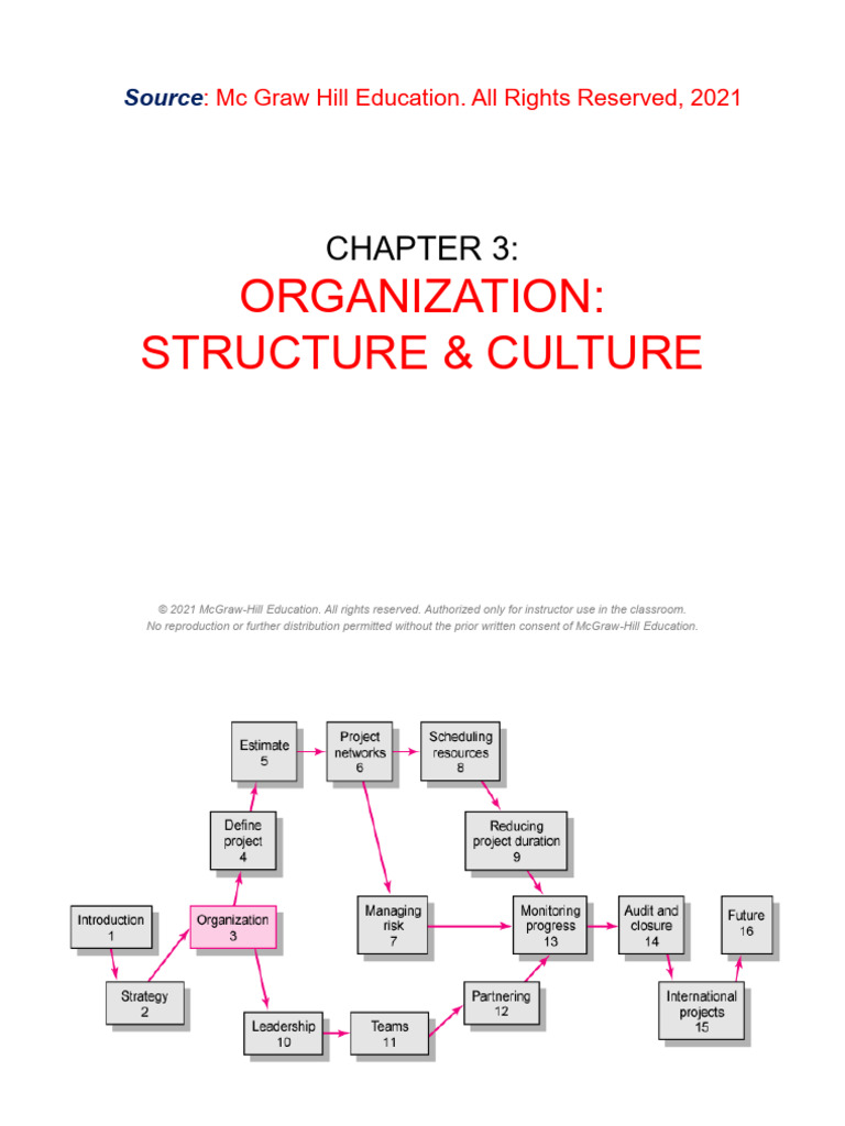 Chapter 3 - Organization Structure and Culture | PDF