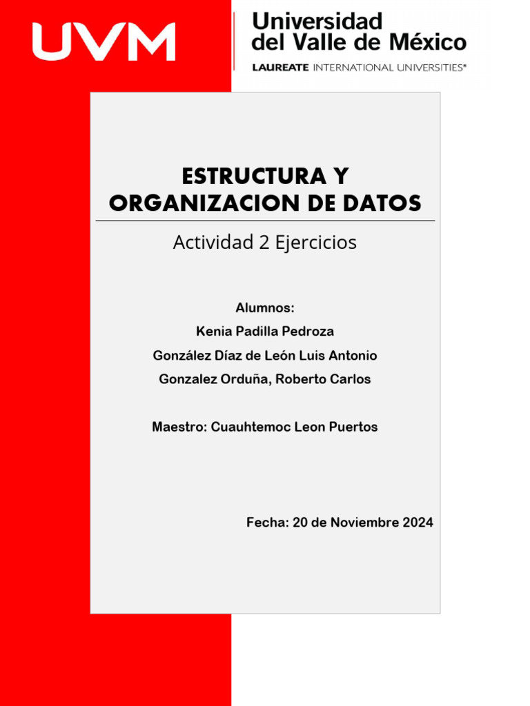 Estructura Y Organizacion de Datos: Actividad 2 Ejercicios | PDF