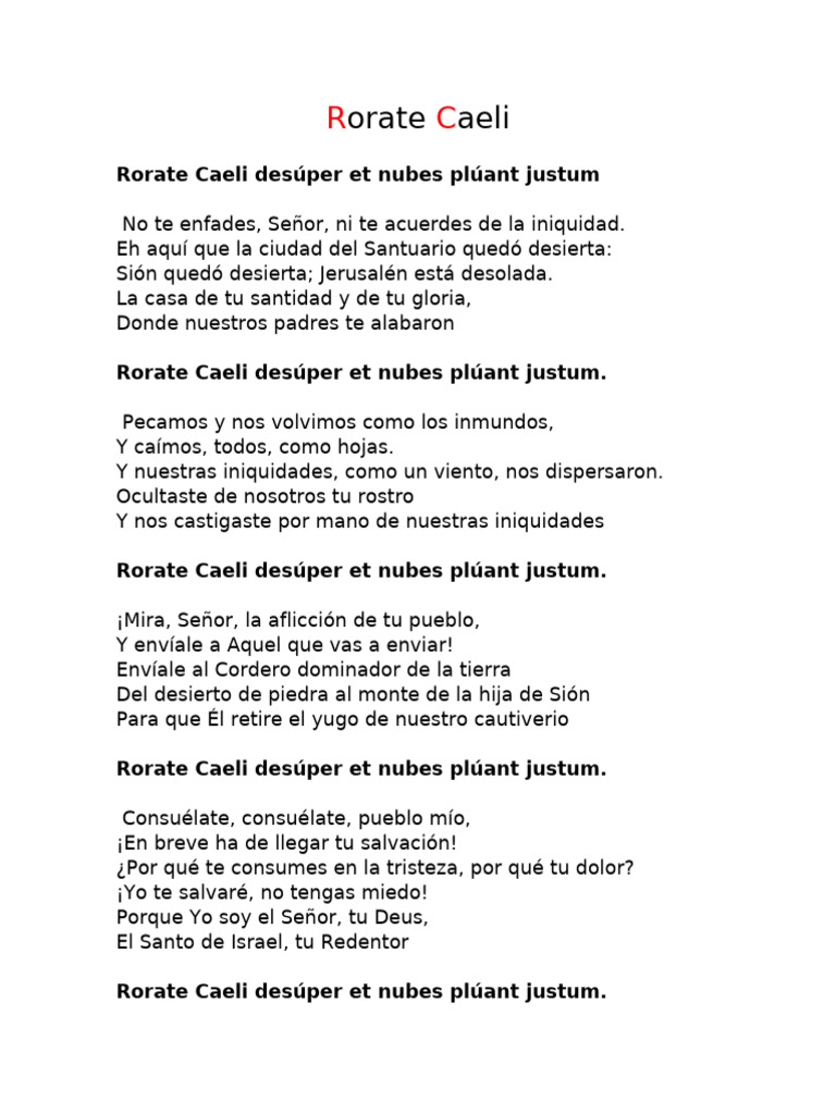 Rorate Caeli | PDF