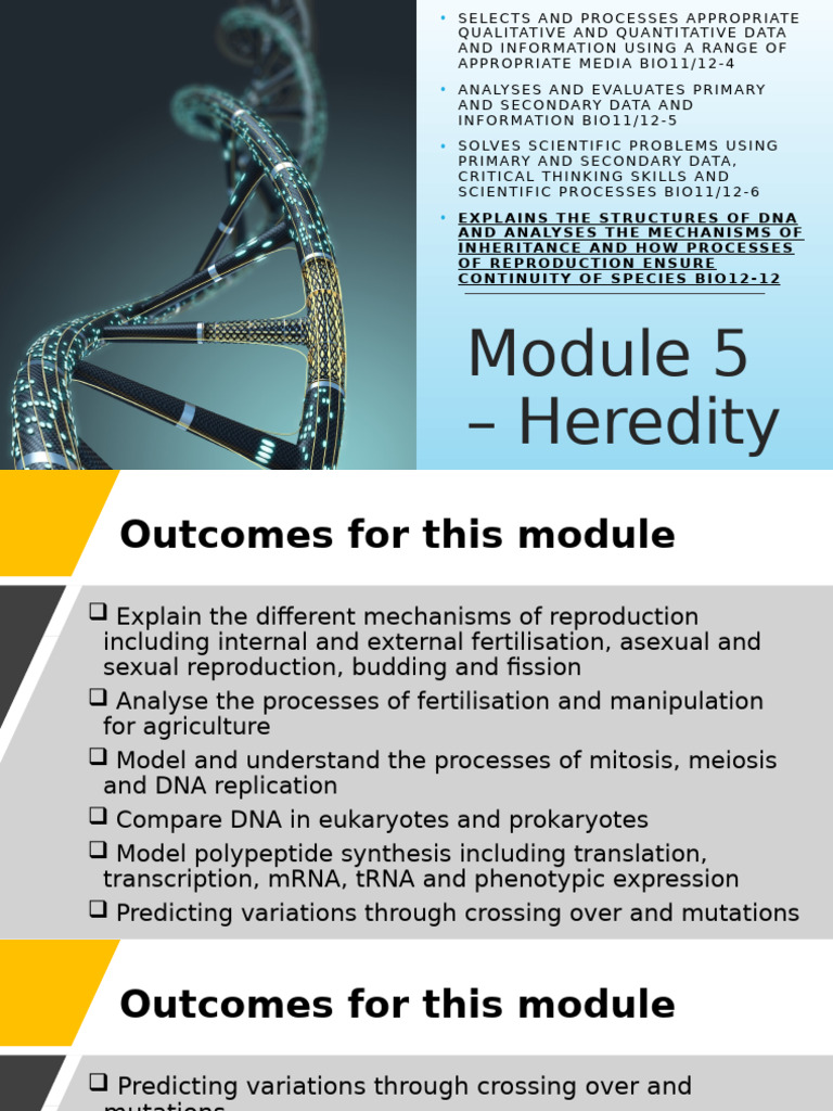 Module 5 – Heredity | PDF | Menstrual Cycle | Mitosis