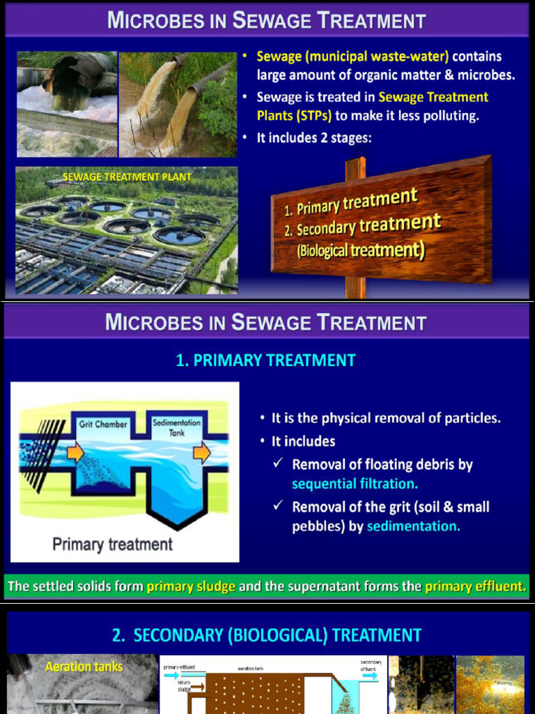 microbes lecture 2 | PDF