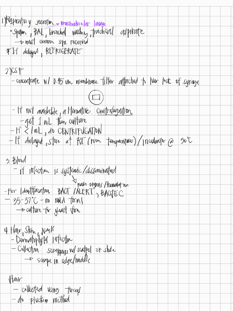 MYCV LAB WEEK 1 | PDF