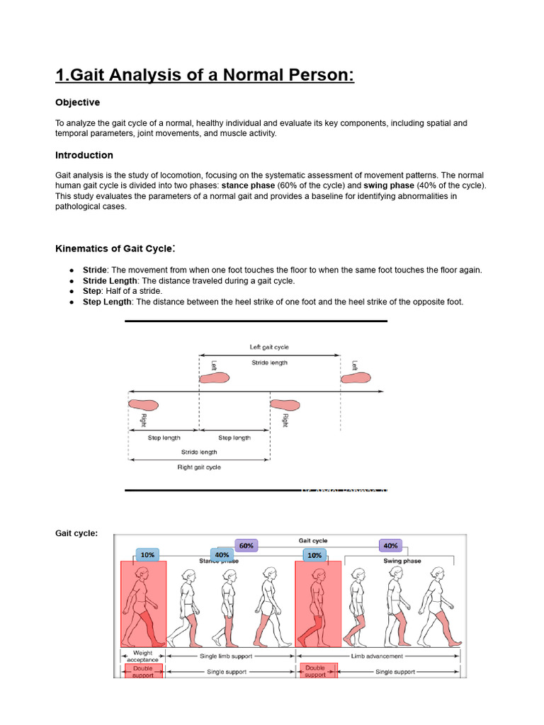 gate analysis lab report | PDF | Tissue Engineering | Biomaterial